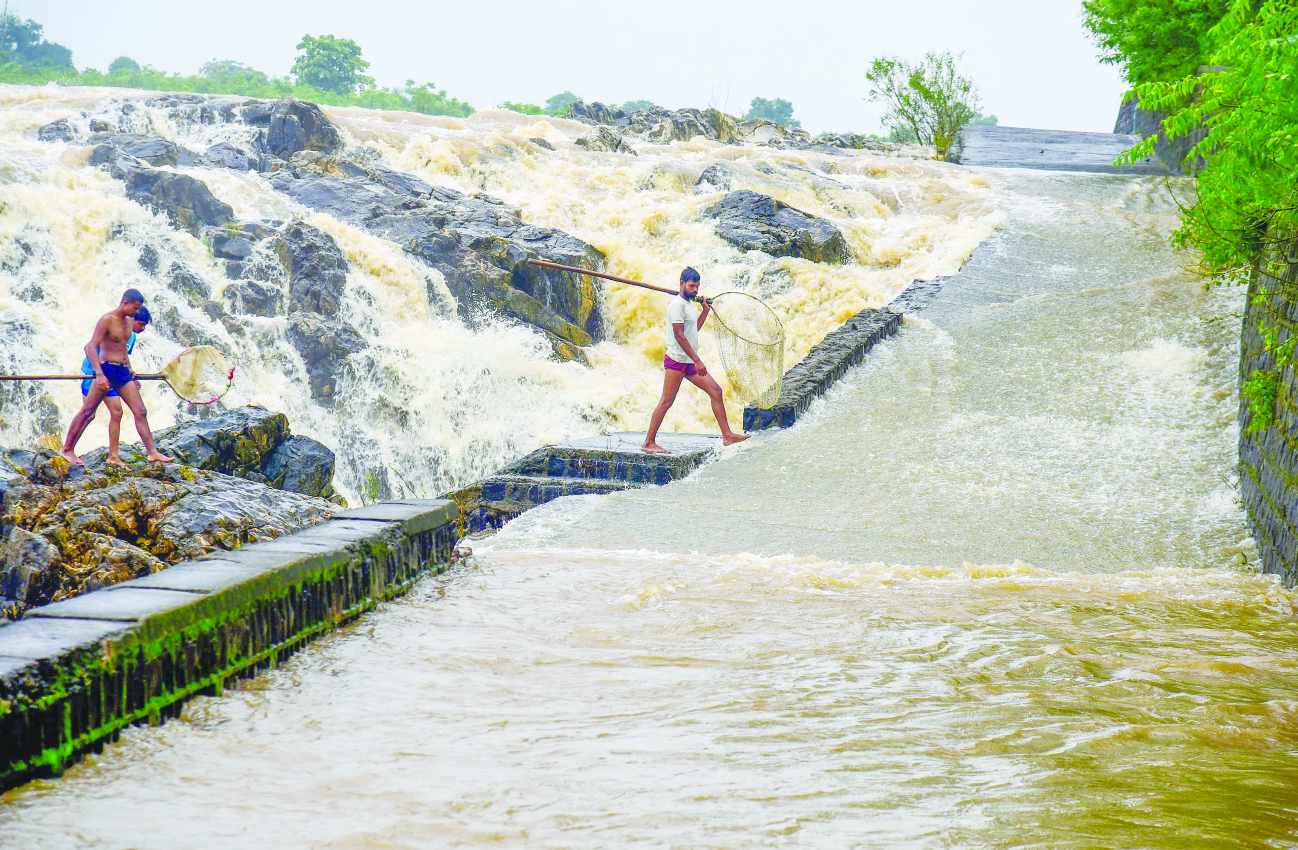 Monsoon deficit of 30% in August impacts India's agriculture - The ...
