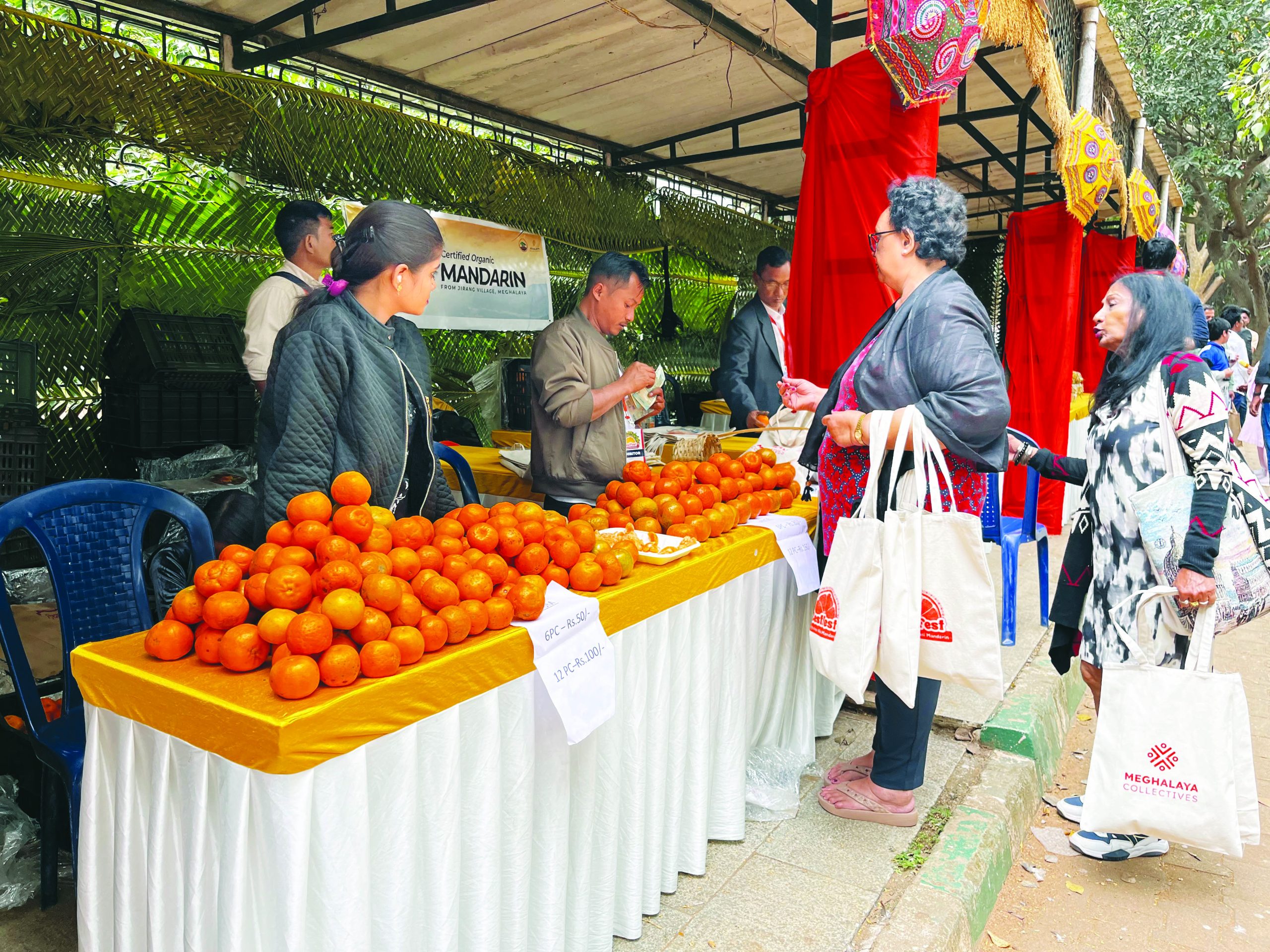 More than half of 4 MT Khasi Mandarin sold out - The Shillong Times