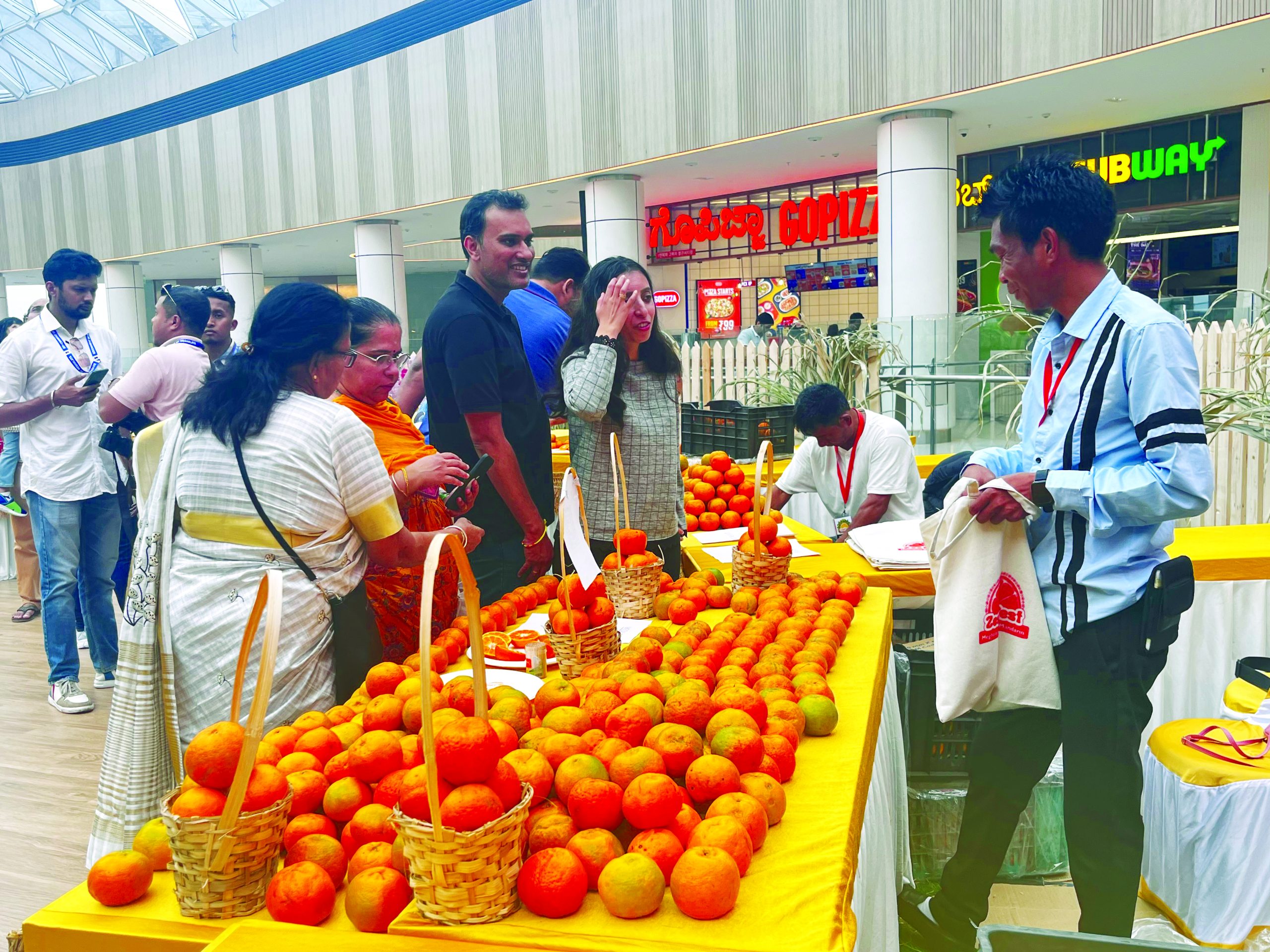 Khasi Mandarin closer to national grandeur - The Shillong Times