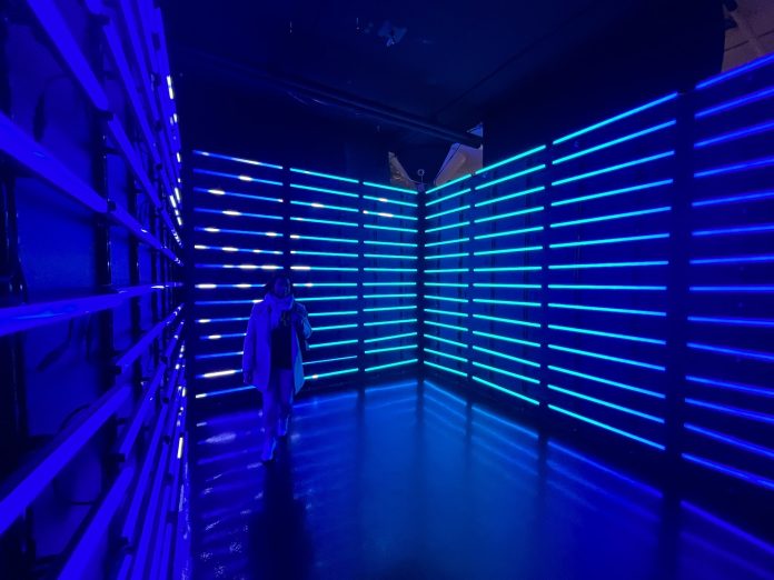 WNDR Museum: Chicago’s futuristic world of fantasy, colour and ...